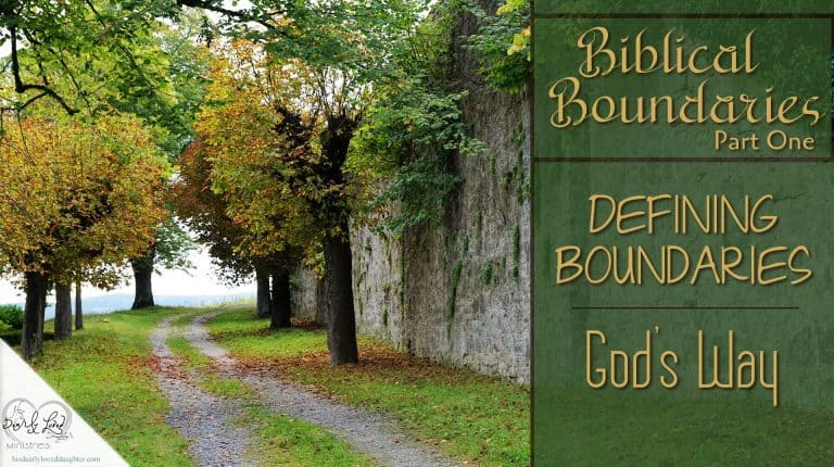 The Biblical Boundaries Series - His Dearly Loved Daughter Ministries