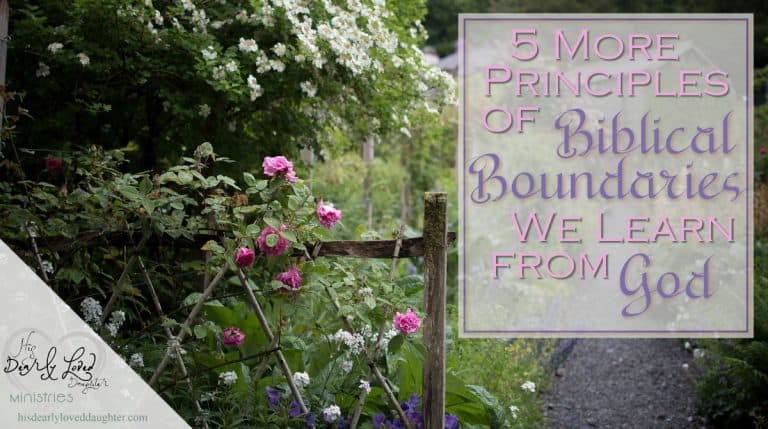 The Biblical Boundaries Series - His Dearly Loved Daughter Ministries