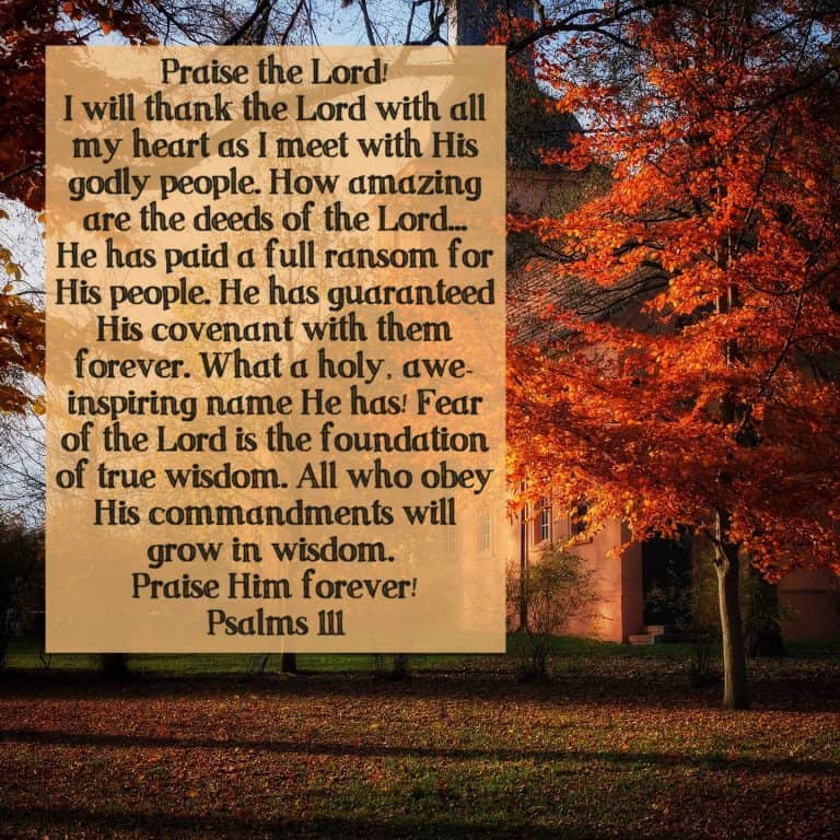 20 Psalms of Thanksgiving and Praise - His Dearly Loved Daughter Ministries
